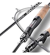 Amazon.com : Raptor Saltwater Fishing Rod 6 Foot Spinning Casting 2 ...