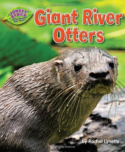 Giant River Otters (Jungle Babies of the Amazon Rain Forest): Lynette ...