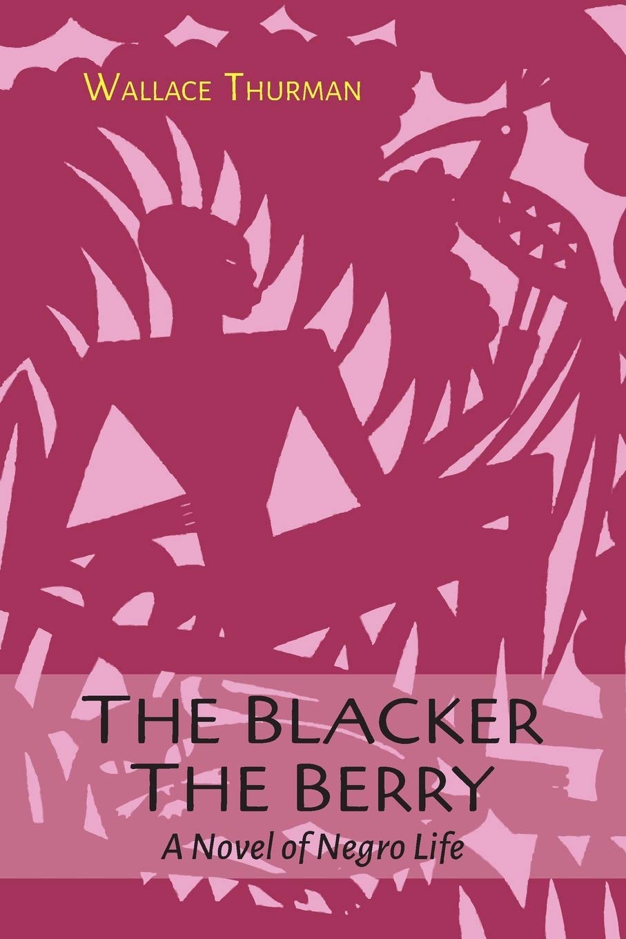 Amazon.com: The Blacker the Berry: 9781614278108: Thurman, Wallace: Books