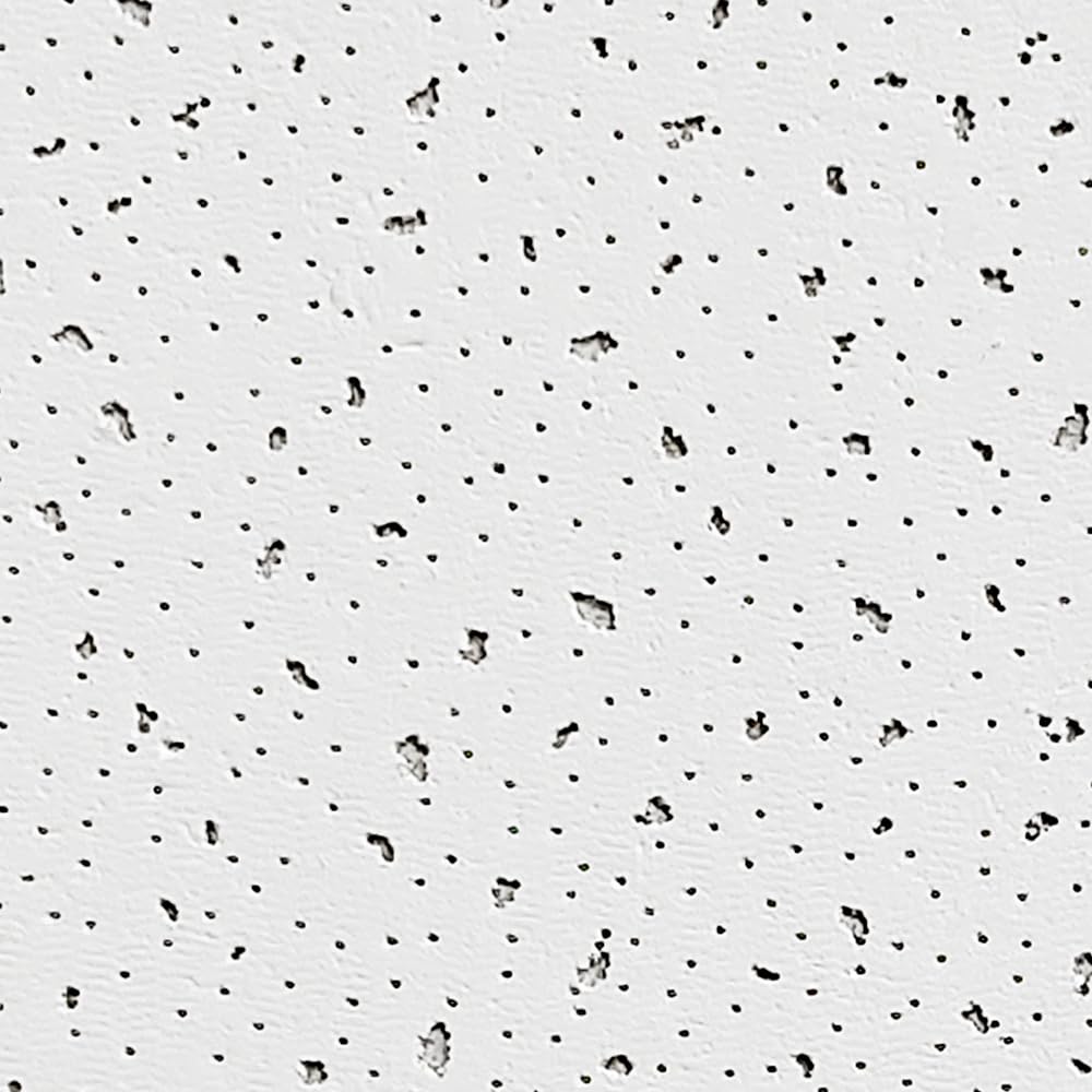 Snapklik.com : ROOMTEC 2 X 2ft Ceiling Tiles, Acoustic Ceilings For ...