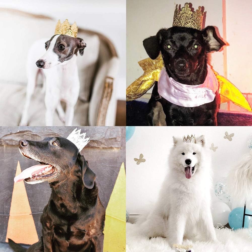 Buy SAKEGiiin Dog Crown Gold Lace Royal Crown Headband Pet Birthday Hat ...