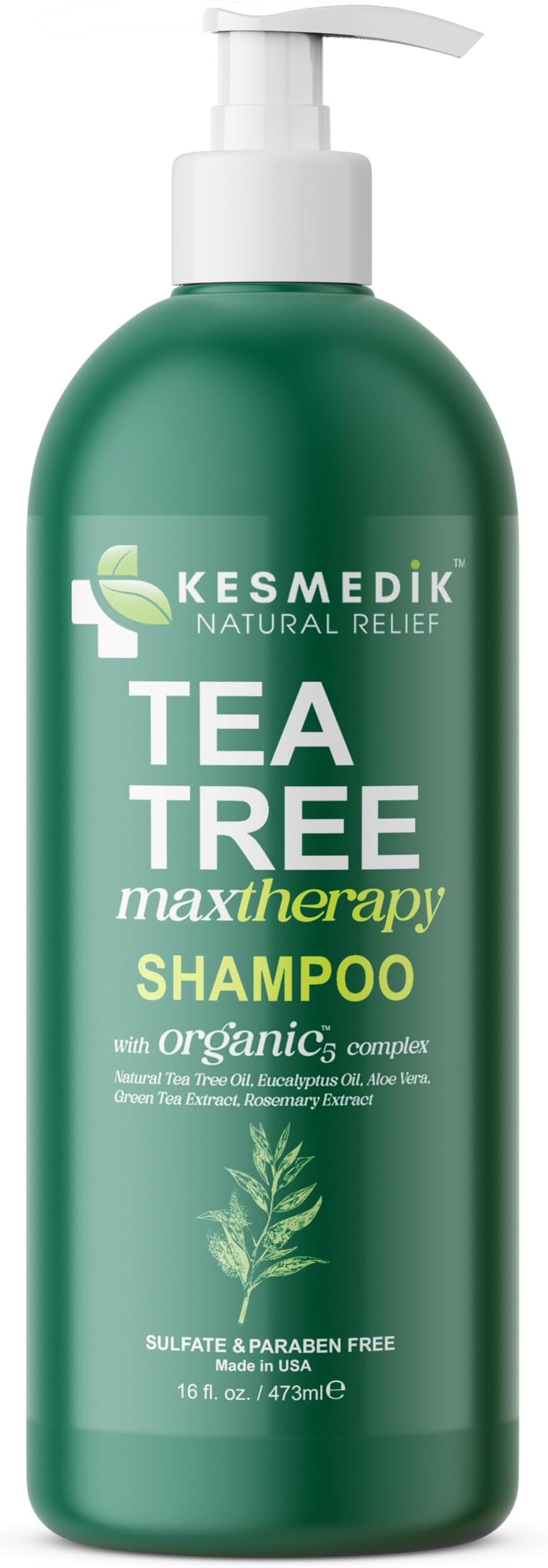 Amazon.com : Trader Joe's Tea Tree Tingle Shampoo with Peppermint, Tea ...