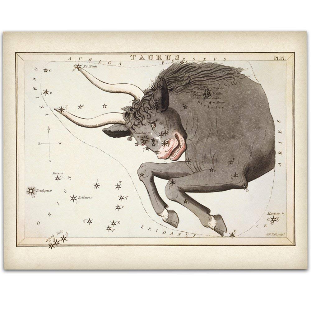 Amazon.com: Astrology Posters - Antique Zodiac Taurus Constellation ...