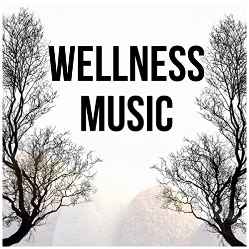 Play Wellness Music - Music and Pure Nature Sounds for Stress Relief ...