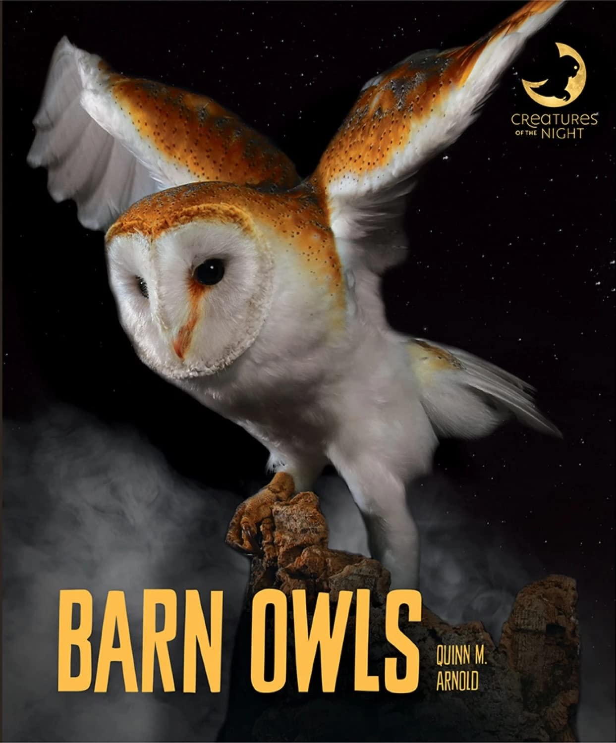 Barn Owls: Quinn Arnold: 9781640261174: Amazon.com: Books
