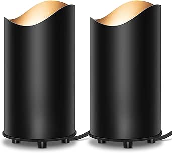 Shineled Uplighting Indoor Floor Can Light, 2 Pack Indoor Spotlight ...