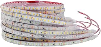 Amazon.com: 12V 24V 5m 10m 20m LED Strip Light IP68 Waterproof 2835 9 ...