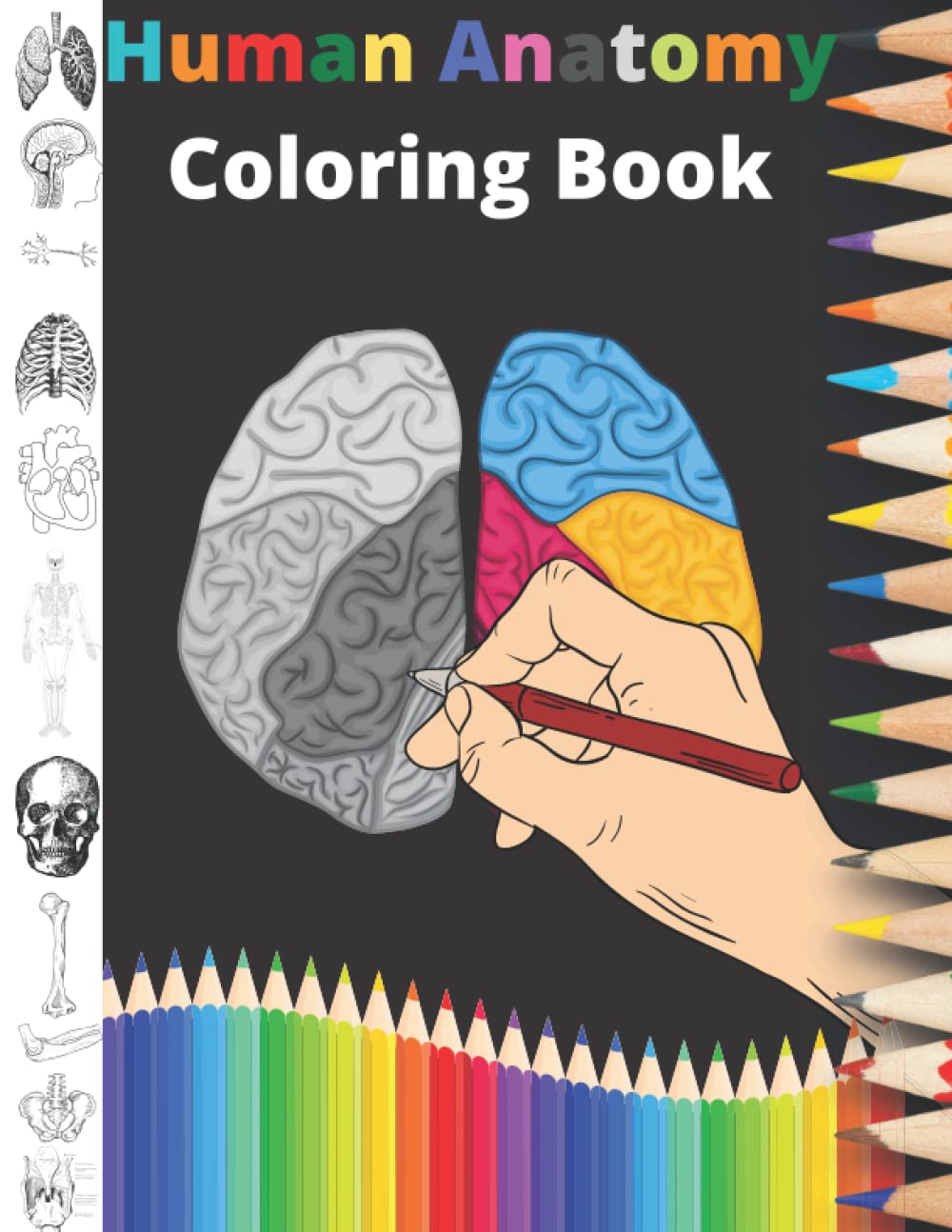 Buy Human Anatomy Coloring Book: an Entertaining and Instructive Guide ...
