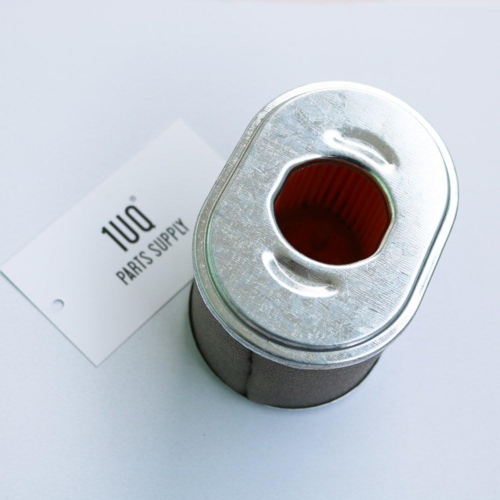 Amazon.com : 1UQ Air Cleaner Filter Core for Powermate P-RTT-196MD-E 18 ...