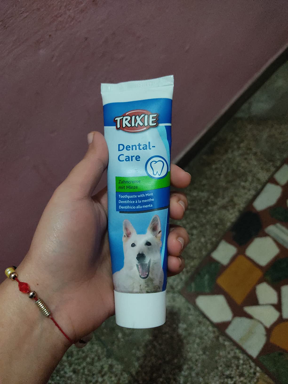 Trixie Dog Toothpaste with Mint, Oral Care,100g : Amazon.in: Pet Supplies