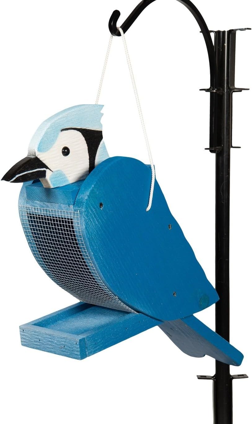 Amazon.com: Kunkle Holdings, LLC Pine Blue Jay Bird Shaped Feeder ...
