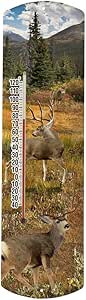 Amazon.com : Heritage America by MORCO 375MULD Mule Deer Outdoor or ...
