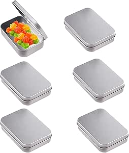 Ksvaye 6pcs Mini Boite Rangement Metal Rectangulaire, Vide Charnière ...