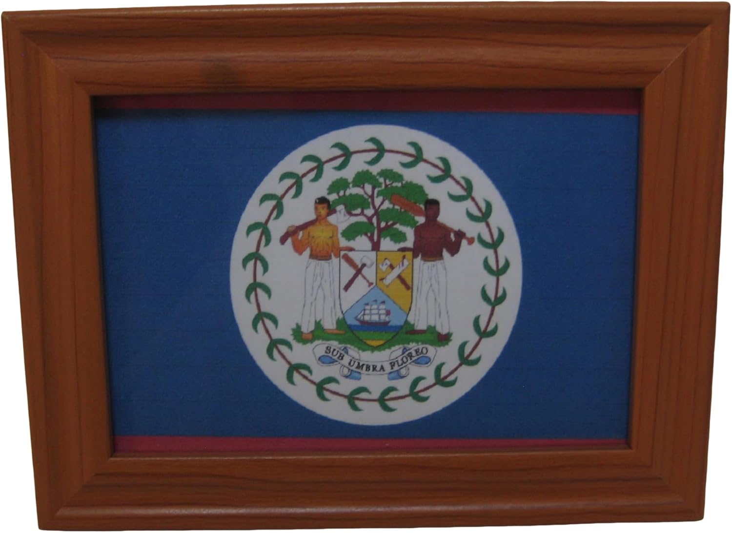 Amazon.com - Genius Collections Belize National falag Picture Frames