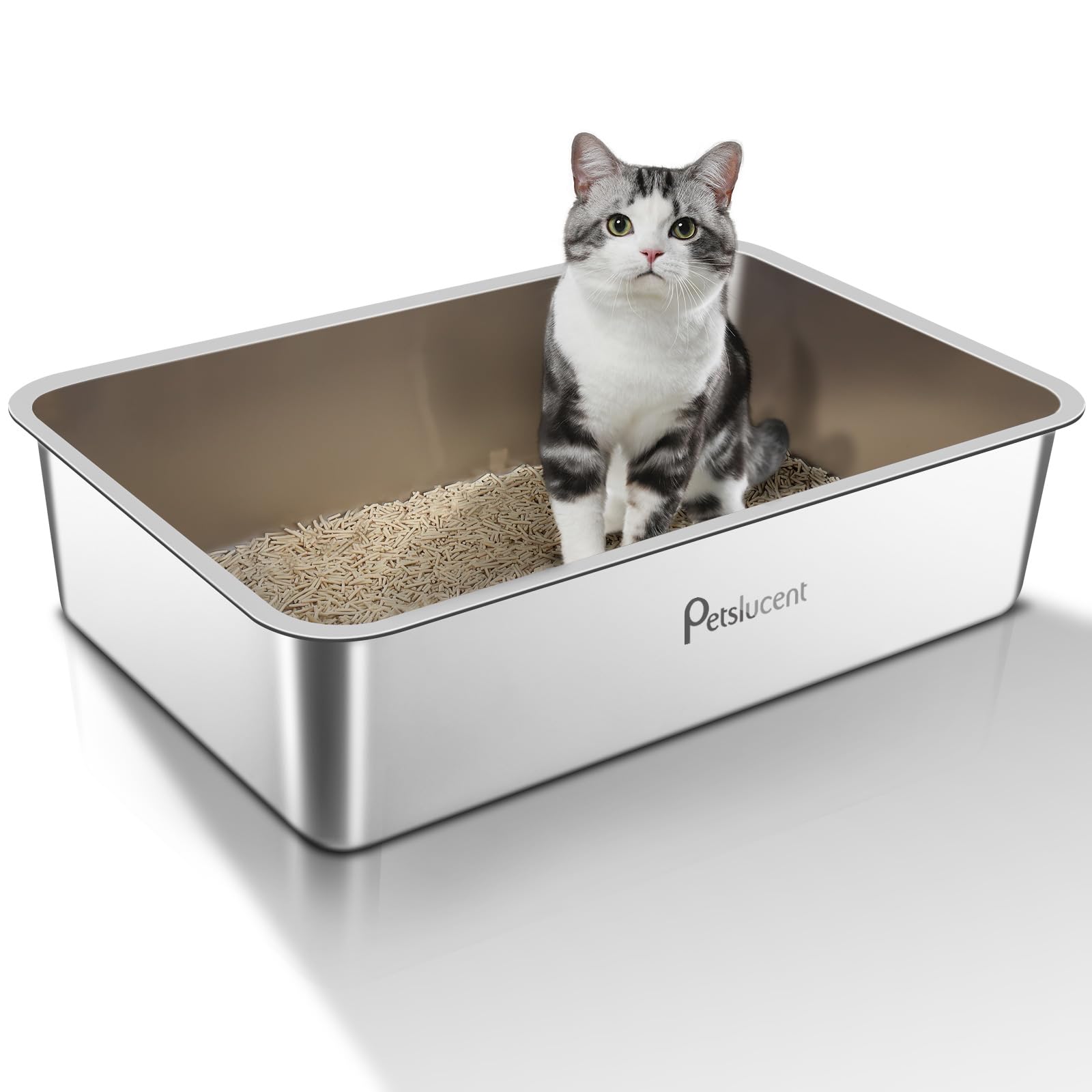 Amazon.com: Stainless Steel Cat Litter Box: 60x40x15cm Extra Large ...
