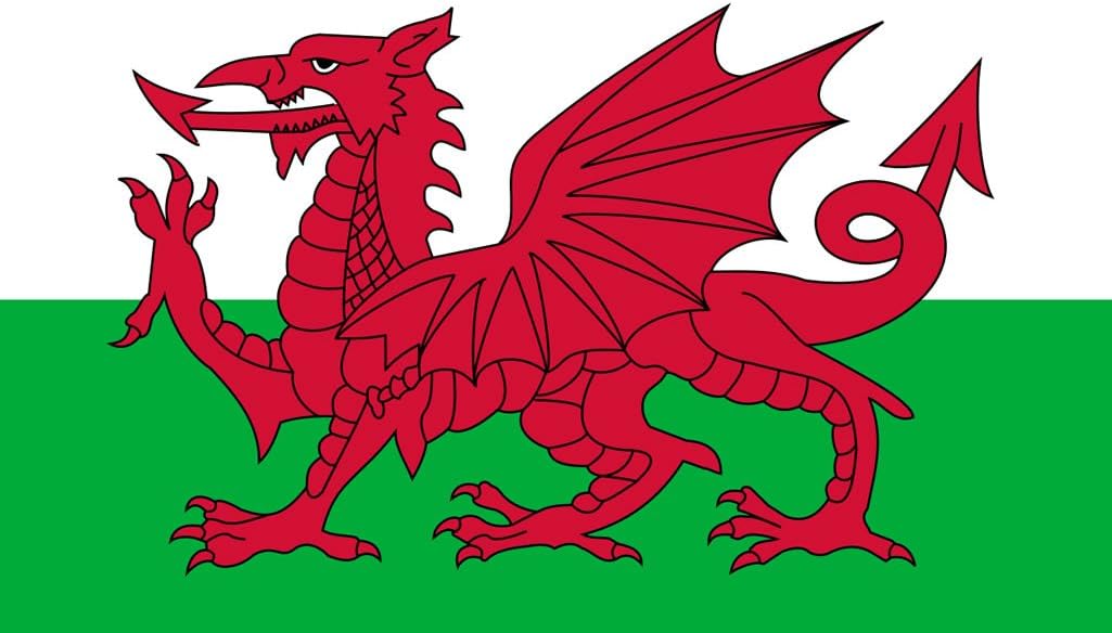Wales Flag Heart Iron on Screen Print Transfers for Fabrics Welsh Flag ...