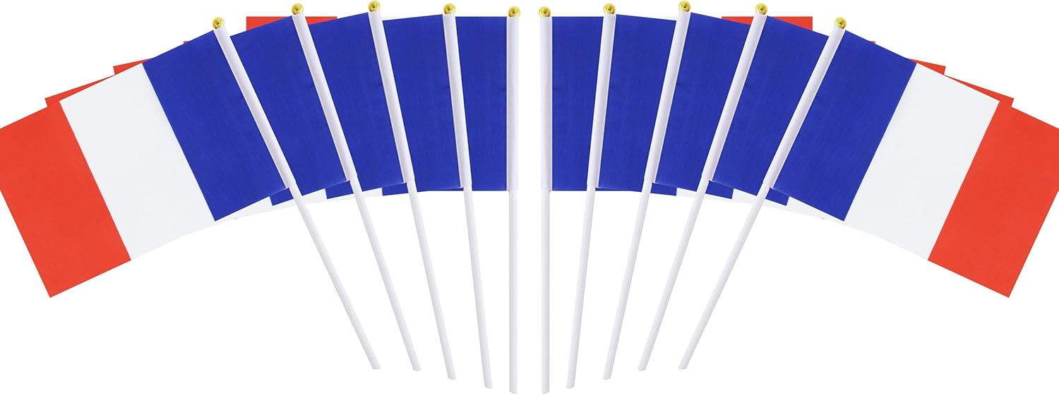 Amazon.com : 10 Pack France French Flags on Stick 5x8 Inch,Patriotic ...