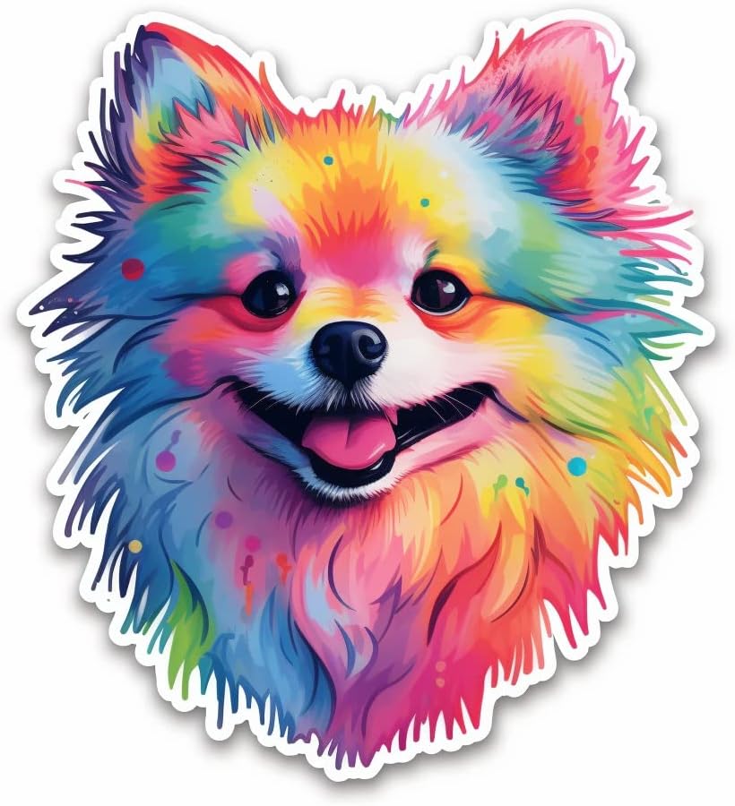Amazon.com - Yoonek Graphics Pomeranian Dog Vinyl Decal Sticker for Car ...