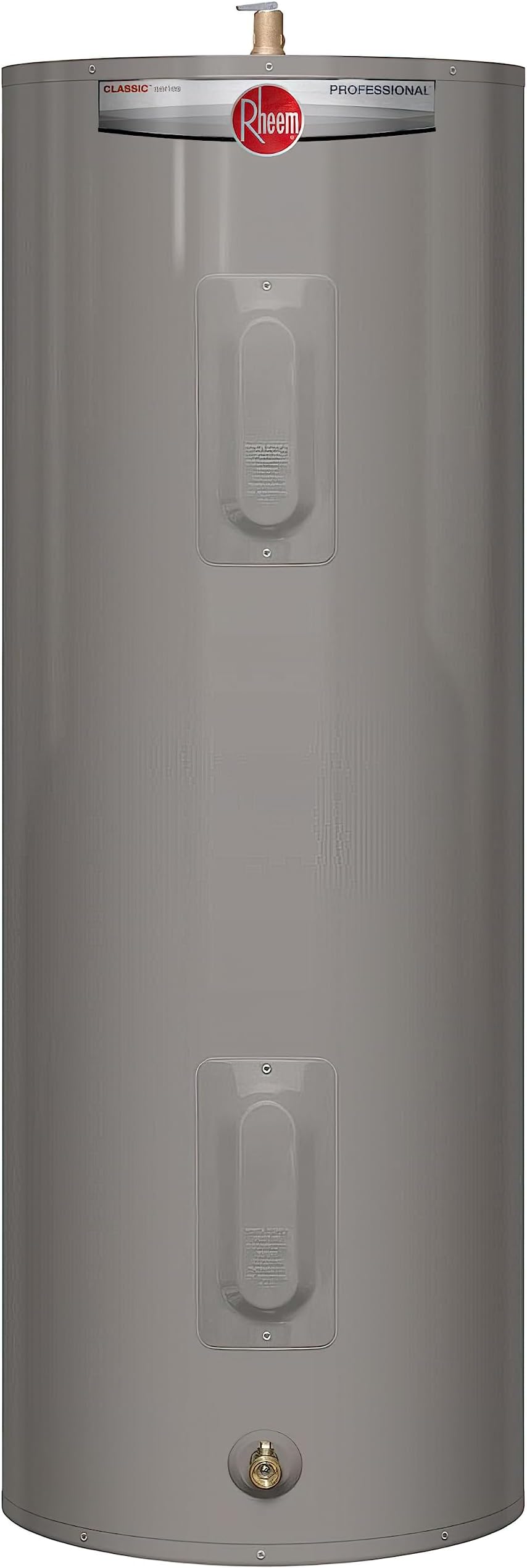 Rheem PROE40 T2 RH95 40-Gallon Professional Classic Water Heater; Dual ...