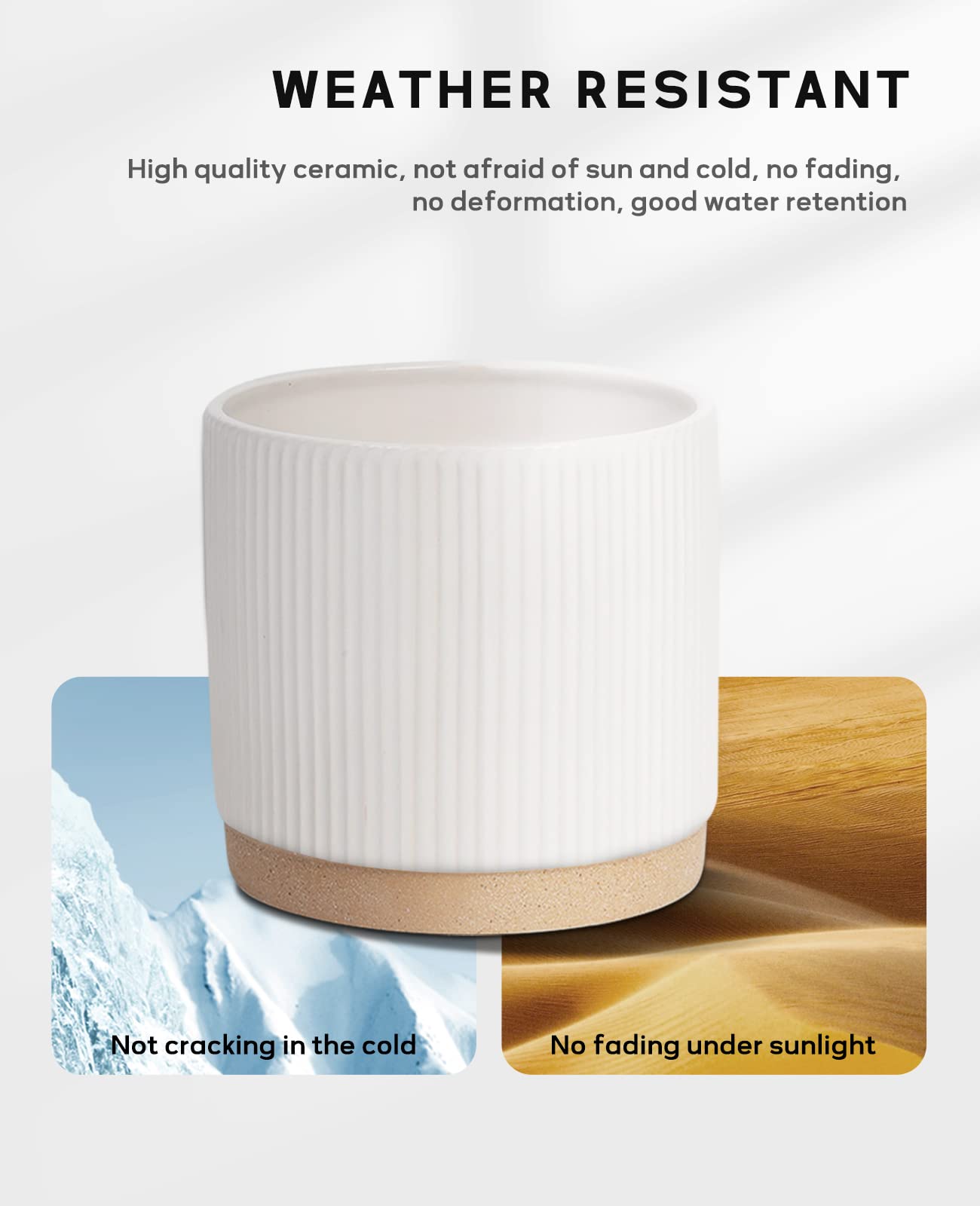 Ladovita Ceramic Pots For Indoor Plants, 5.5 Inch Cone & 6.5 Inch Round ...