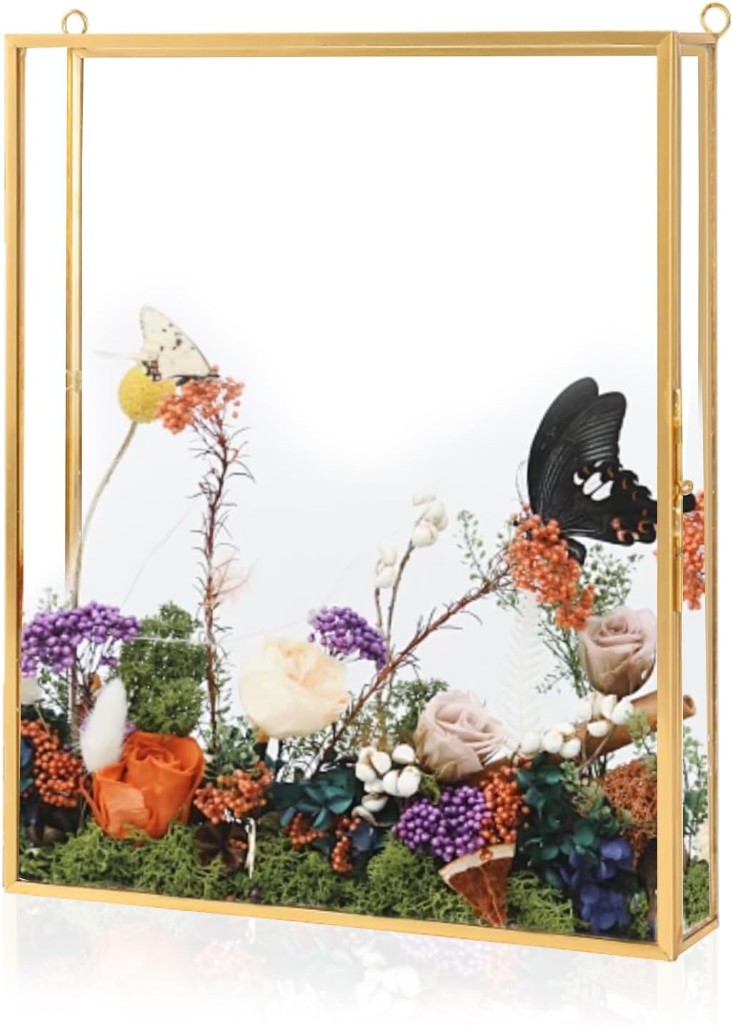 Amazon.com - 8x10 Travel Shadow Box Frame with Slot on Top, Glass ...