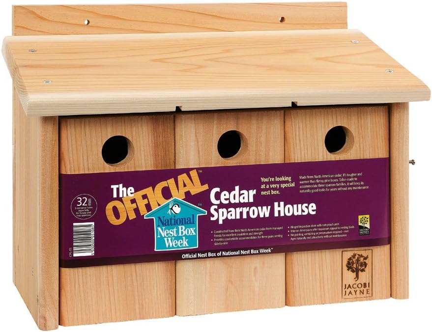 Amazon.com: Triple Sparrow Bird Nest Box made from solid Cedarwood ...