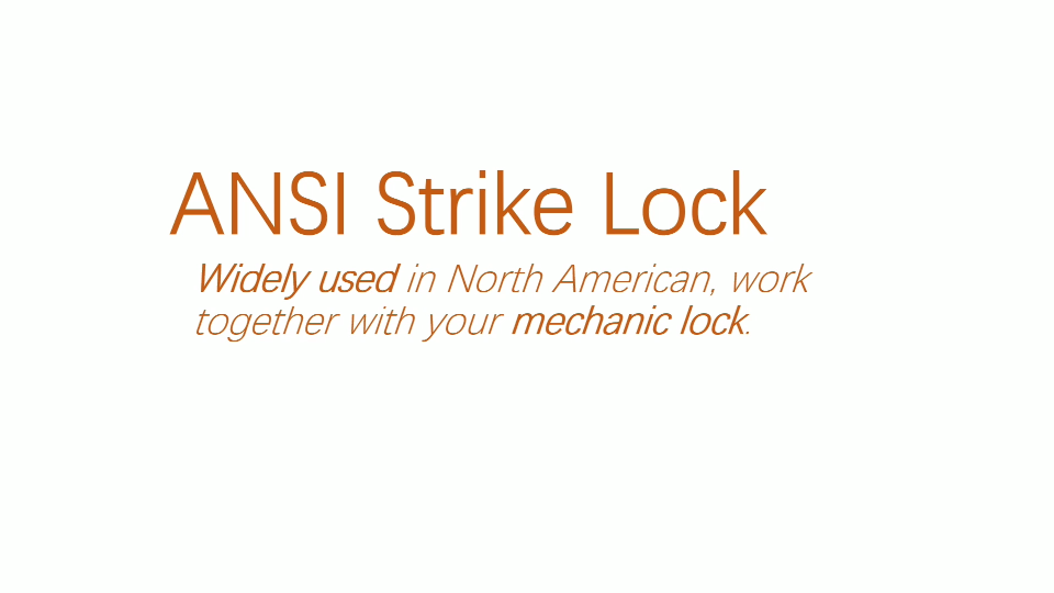 Watch North American ANSI Strike Lock on Amazon Live