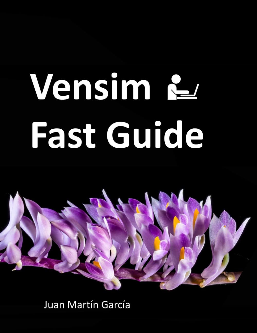 Amazon | Vensim Fast Guide: Modeling and Simulation Business Dynamics ...