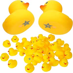 Amazon.com: 40 Rubber Ducks with Numbers Duck Game Outdoor Memory Game ...