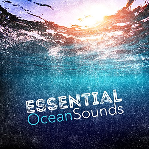 Amazon MusicでOcean Sounds CollectionのEssential Ocean Soundsを再生する