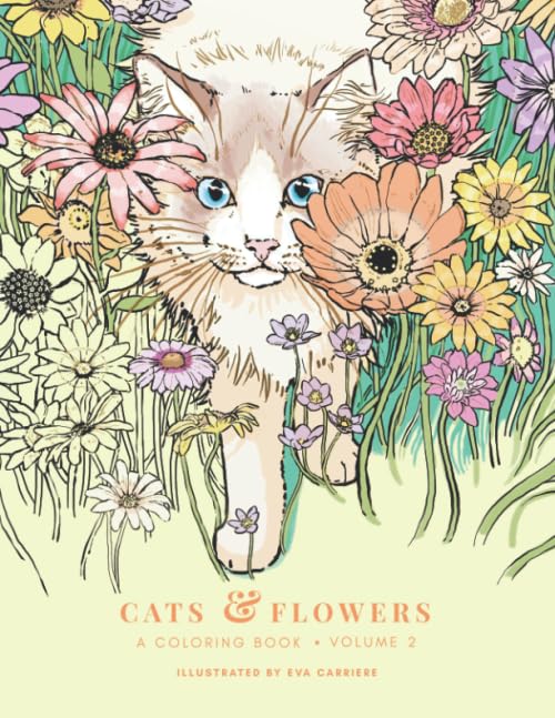 Flower Cats – Die 15 besten Produkte im Vergleich - Haustierratgeber ...