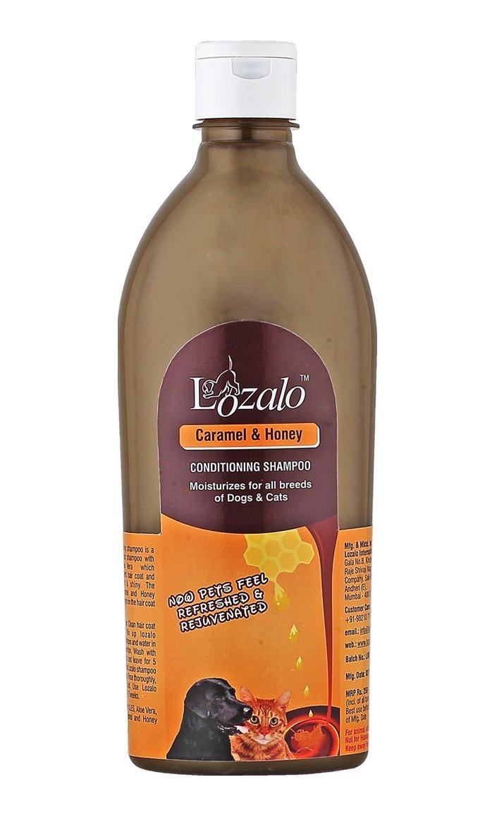 Lozalo Shampoo, 200ml, Caramel Honey : Amazon.in: Pet Supplies