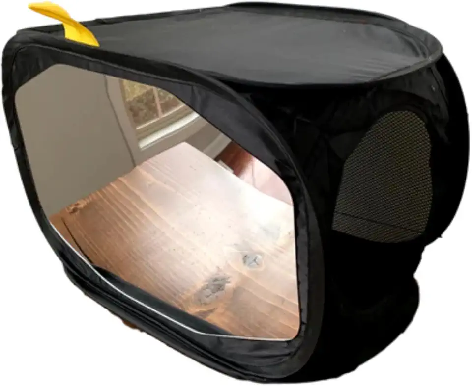 Regaining Control: Stroke Survivors' Limb Function Recovery | MedShun