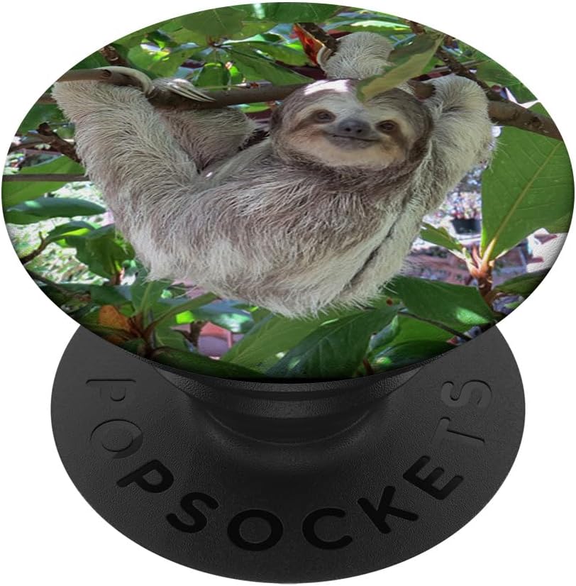 Amazon.com: Sloth is my spirit animal cell phone grip holder sloth ...