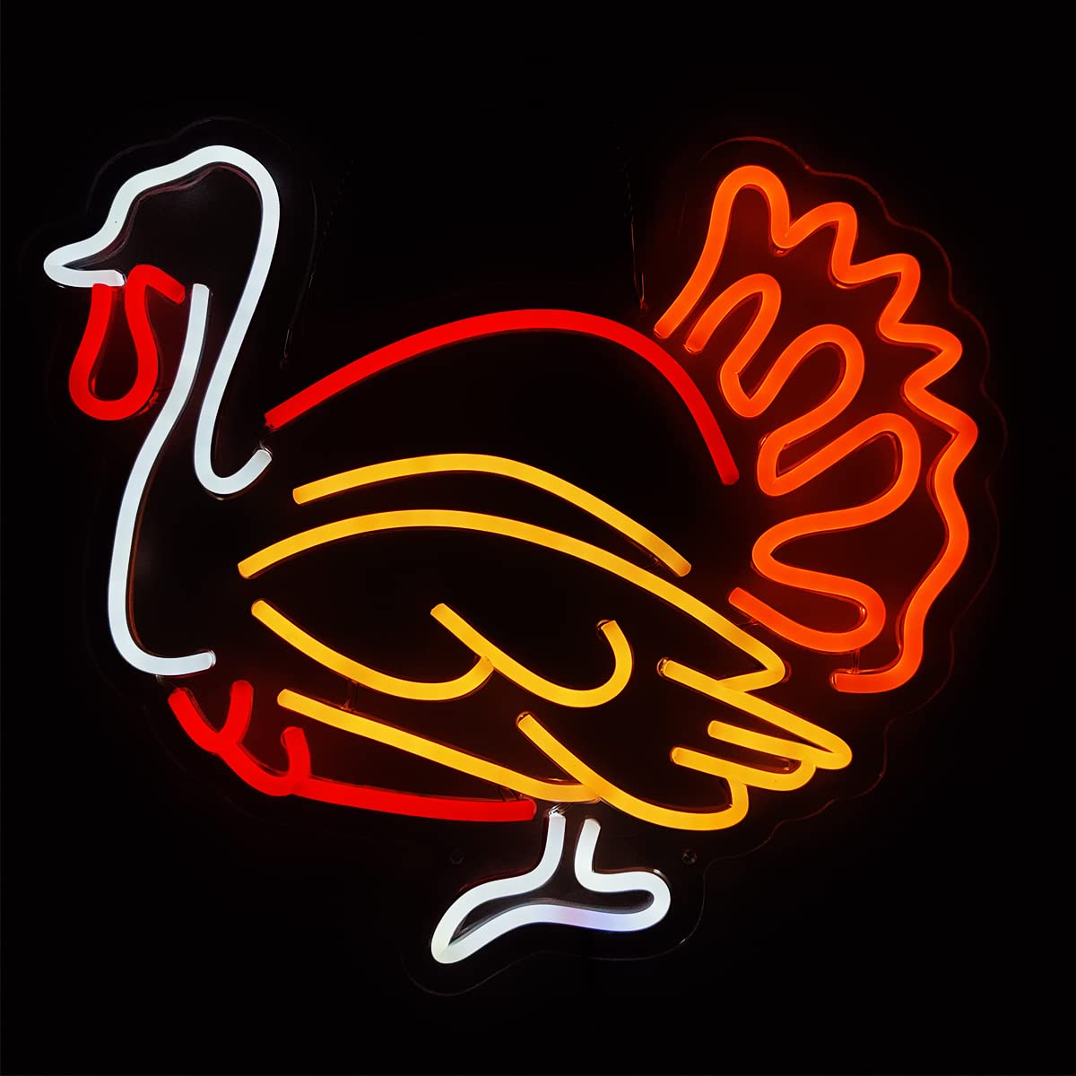 Amazon.com : QILAND Turkey LED Neon Sign Super Bright Acrylic Handmade ...