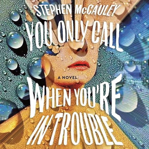You Only Call When You're in Trouble: A Novel (Audio Download): Stephen ...