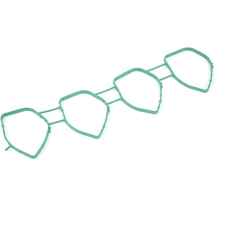 Amazon.com: GM Genuine Parts 12603028 Lower Intake Manifold Gasket ...
