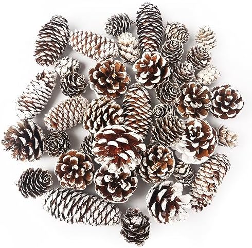 Amazon.com: JOHOUSE 12PCS Natural Pine Cones, 4.5 Inch Christmas White ...
