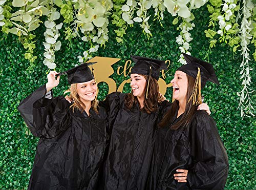 Ticuenicoa 7x5ft Green Leaves Wall Congrats Grad Backdrop for Photoshot ...