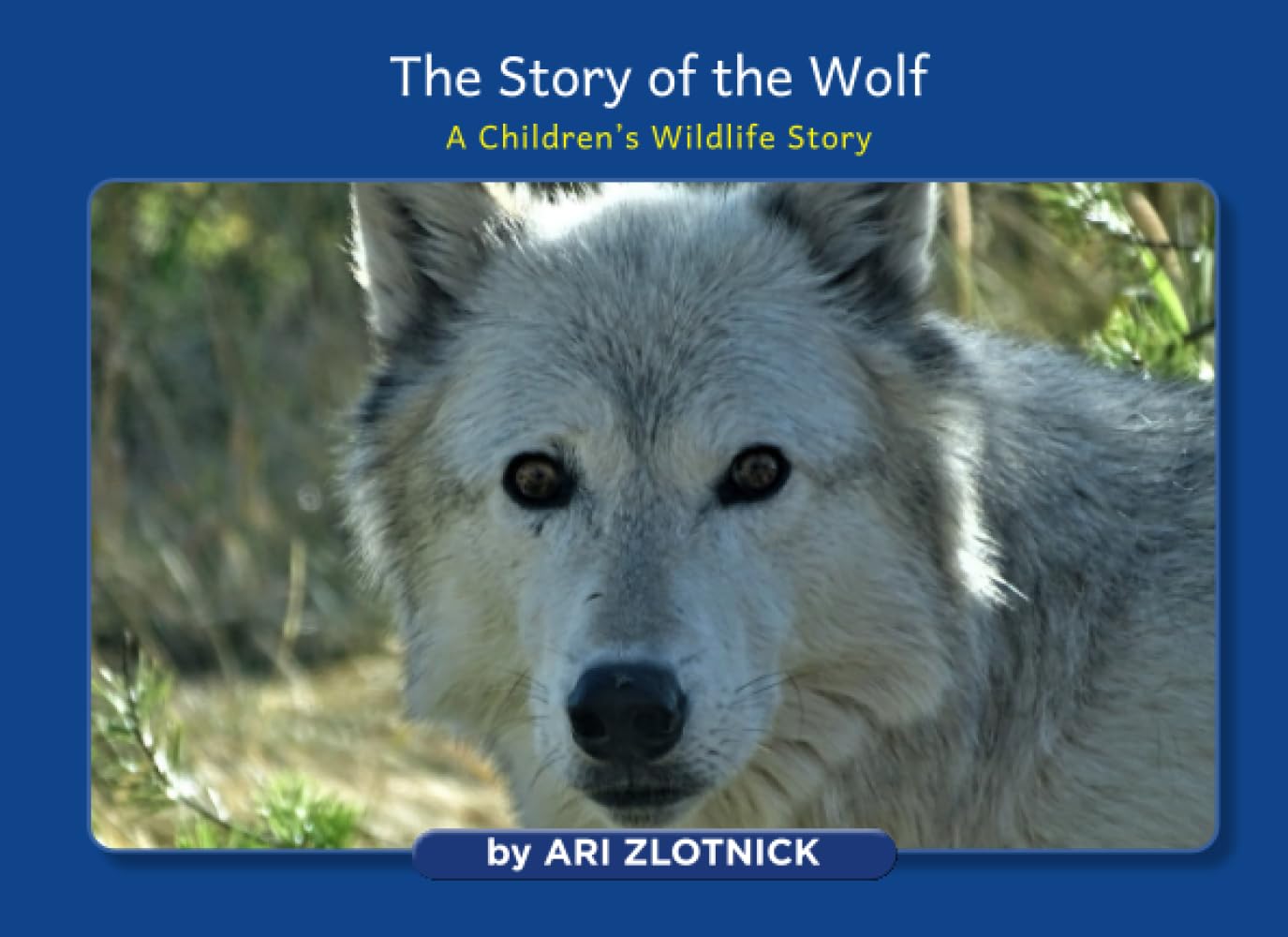 The Story of the Wolf: A Children's Wildlife Story: Zlotnick, Ari, Wild ...