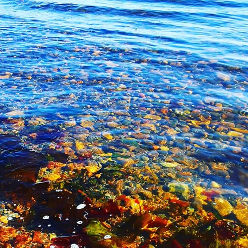 Amazon Music UnlimitedでLouie LiuのLa Rivière Avanceを