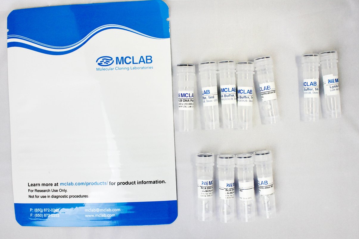 Amazon.com: RCA DNA Amplification Kit (500 reactions) : Industrial ...