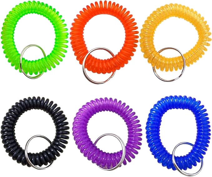 Amazon.com: 6Pcs Wrist Keychain Flexible Spiral Wrist Coil Stretchable ...