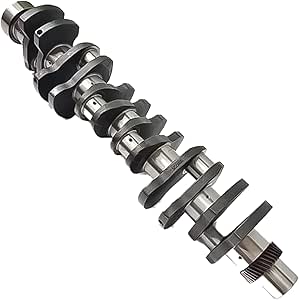 Amazon.com: SXCCGMGQ Crankshaft 3608833 Compatible for CUMMINS NT855R ...
