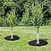 Amazon.com : 20.5 Inch Non-Woven Tree Mulch Ring, Thickened Tree ...