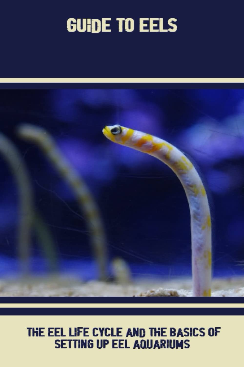 Buy Guide To Eels: The Eel Life Cycle And The Basics Of Setting Up Eel ...