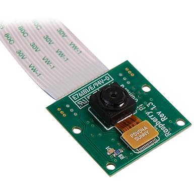 Raspberry Pi 5Mp AGP Gddr3 Camera Board Module (Pack Of 1) : Amazon.in ...