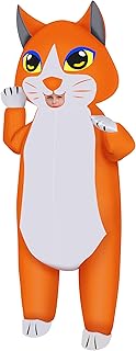 Creative Adult Orange Cat Costume Ideas For Halloween | PetShun