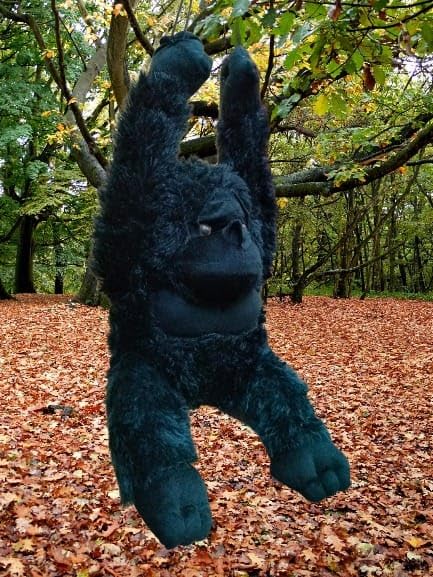 Buy Black Stuffed Soft Toy Cute Chimpanzee Toy Gift Decoration Gorilla ...