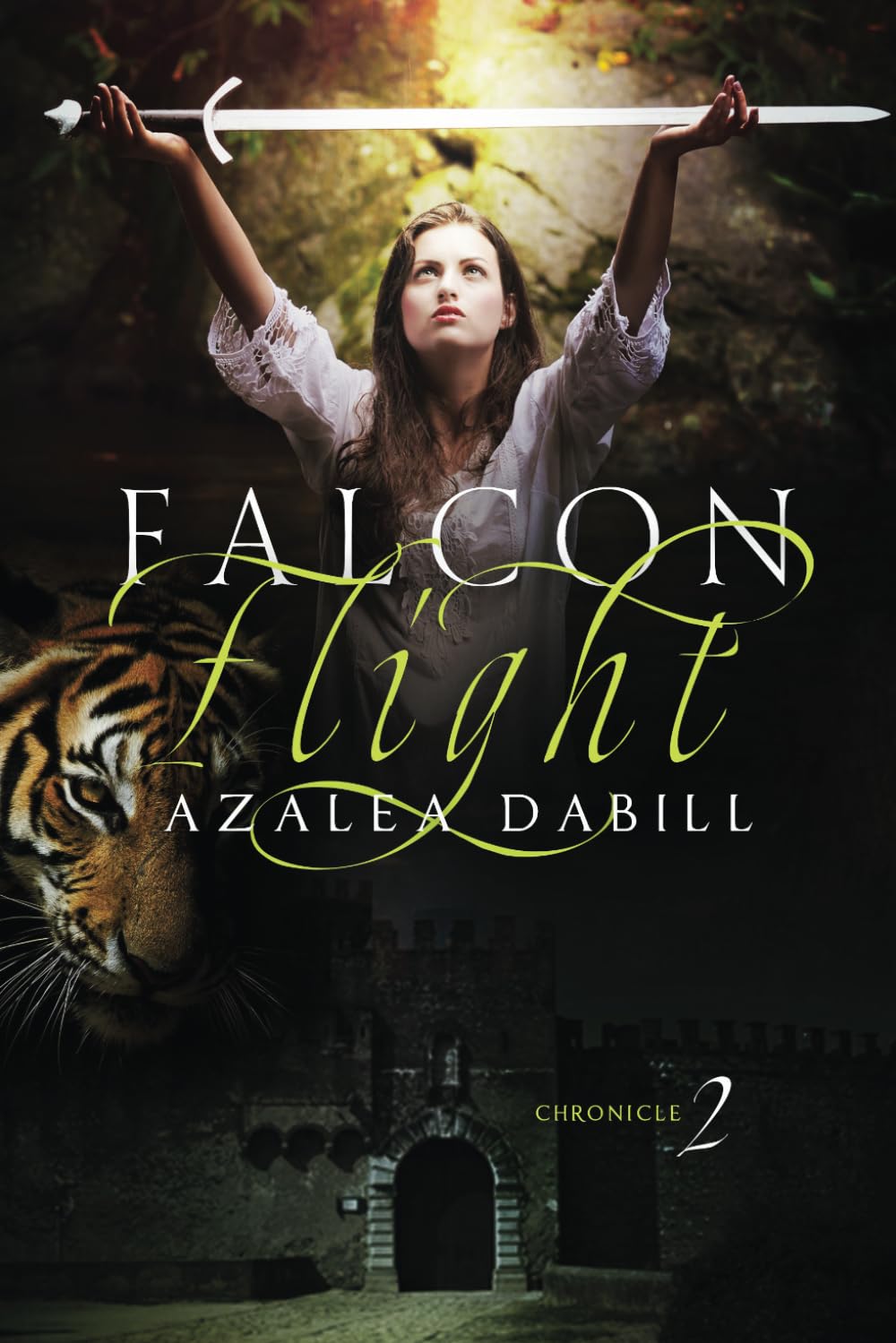 Amazon.com: Falcon Flight (Falcon Chronicle): 9781943034079: Dabill ...